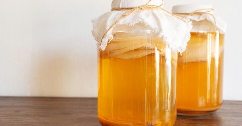 Kombucha: Minuman Fermentasi yang Lagi Hits di 2024!